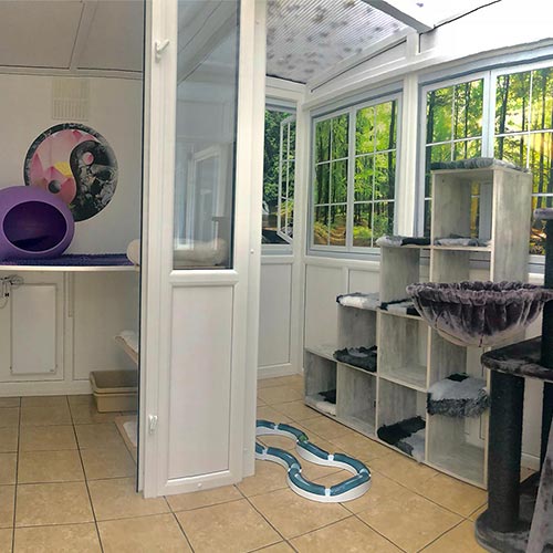 Cat Suites at Westlodge Pet Hotel