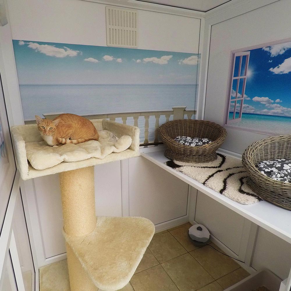 Cat Suites at Westlodge Pet Hotel