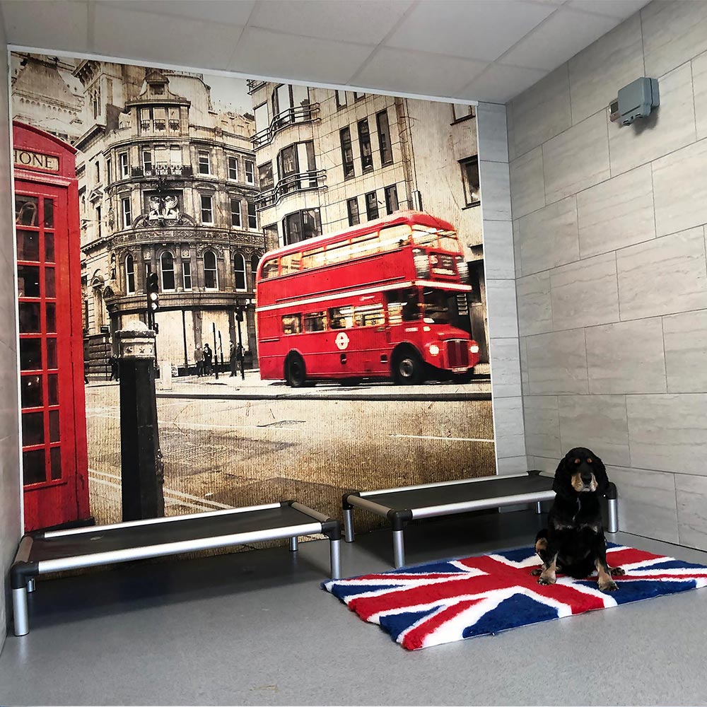 Dog Suites at Westlodge Pet Hotel