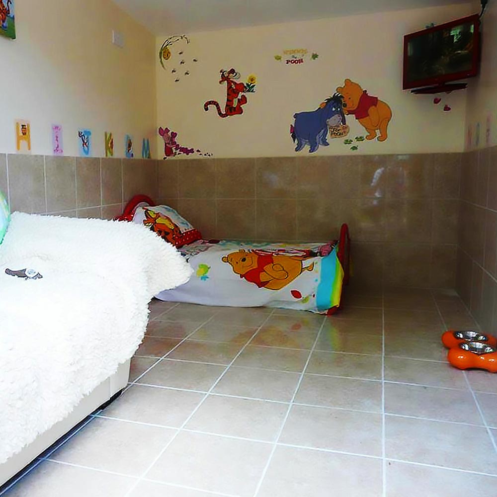 Dog Suites at Westlodge Pet Hotel